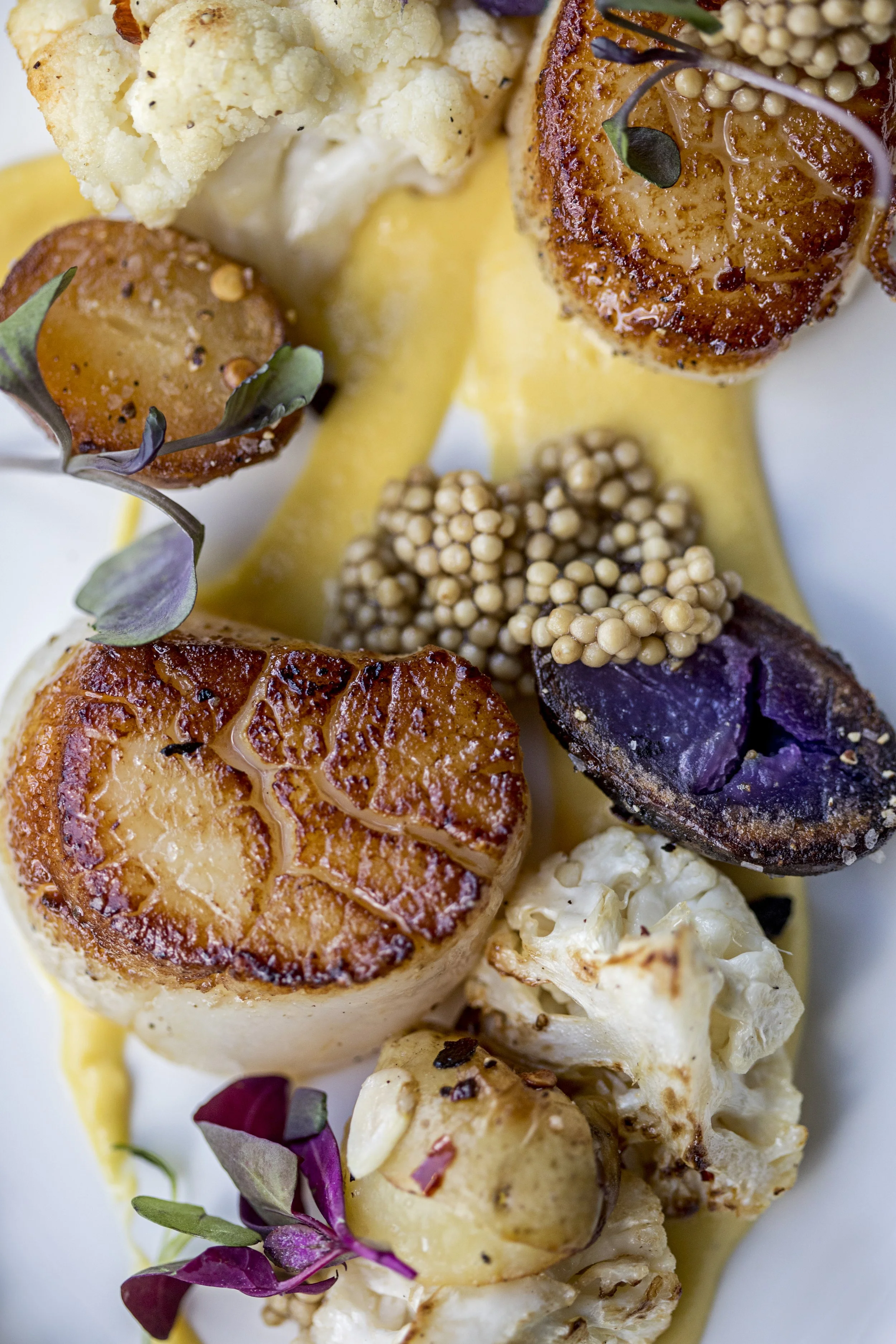Double Zero — Castellucci Hospitality Group - Atlanta GA Restaurants