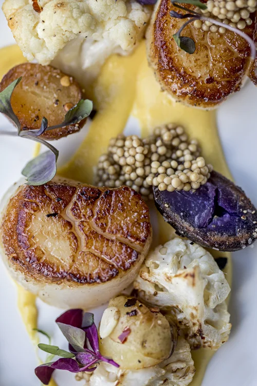 Double Zero — Castellucci Hospitality Group - Atlanta GA Restaurants
