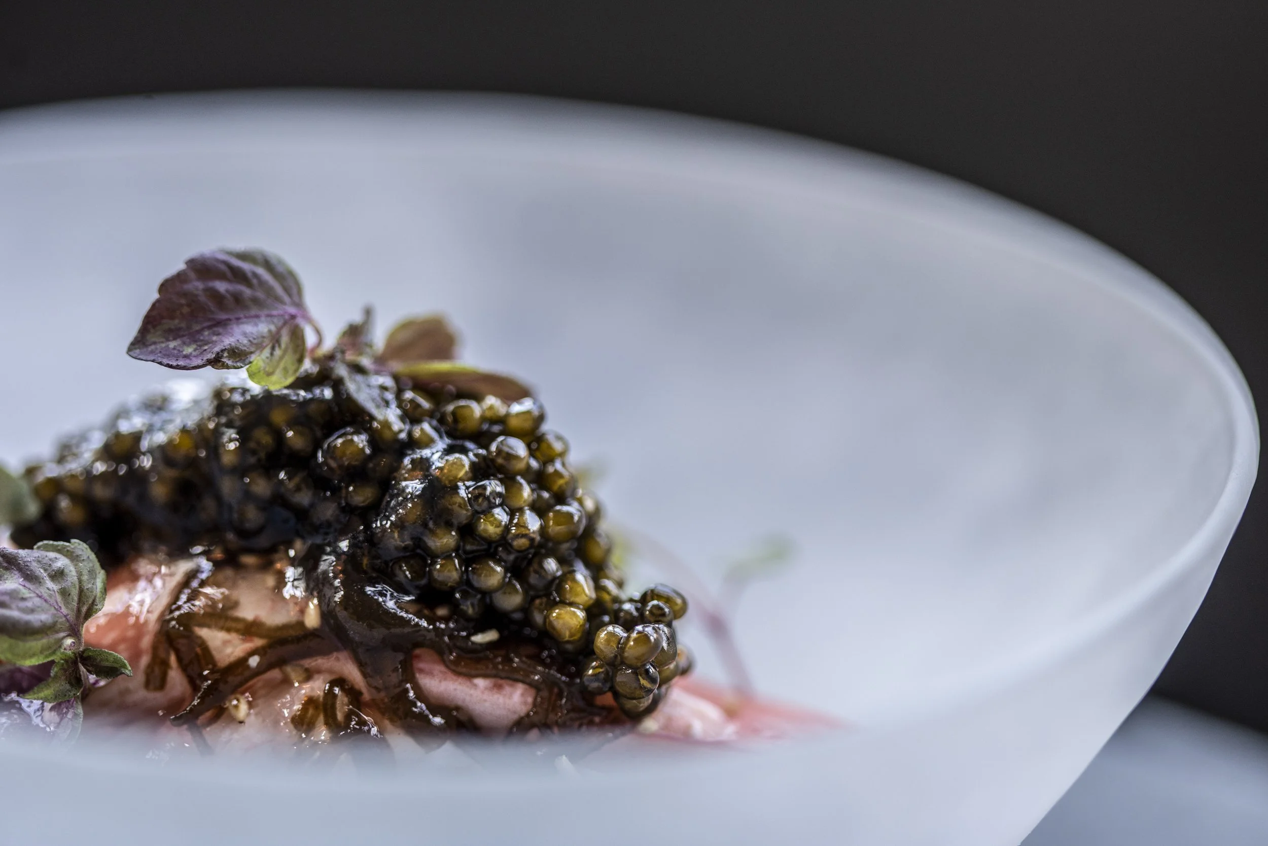 Mujo — Castellucci Hospitality Group - Atlanta GA Restaurants