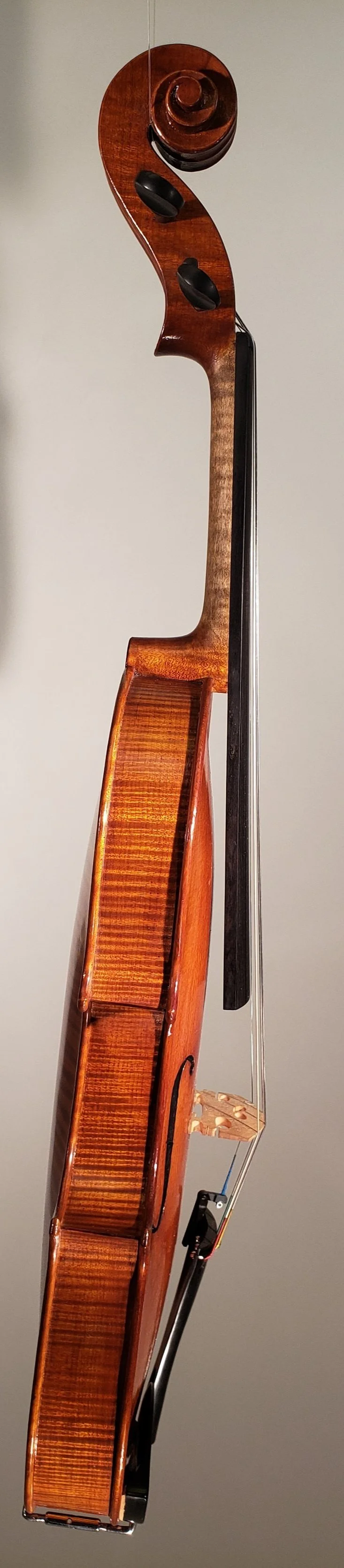 Gallery — Thomas Crompton Violins