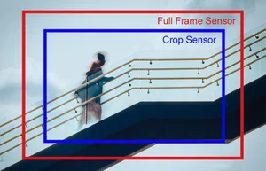 Full Frame Vs Crop Sensor - What's The Difference? — Dave Carl Lawrence