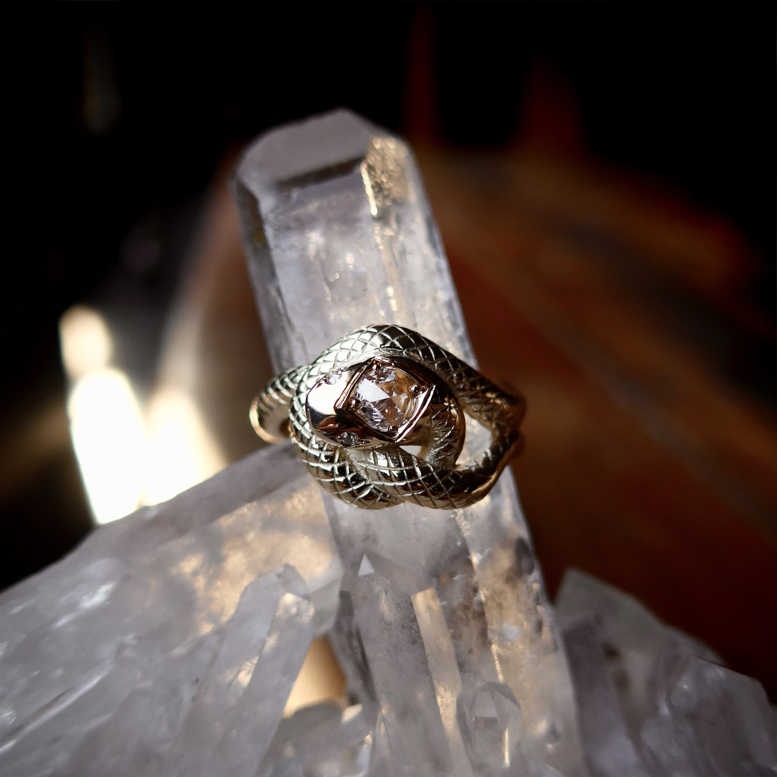 Rings — The Sacred Order