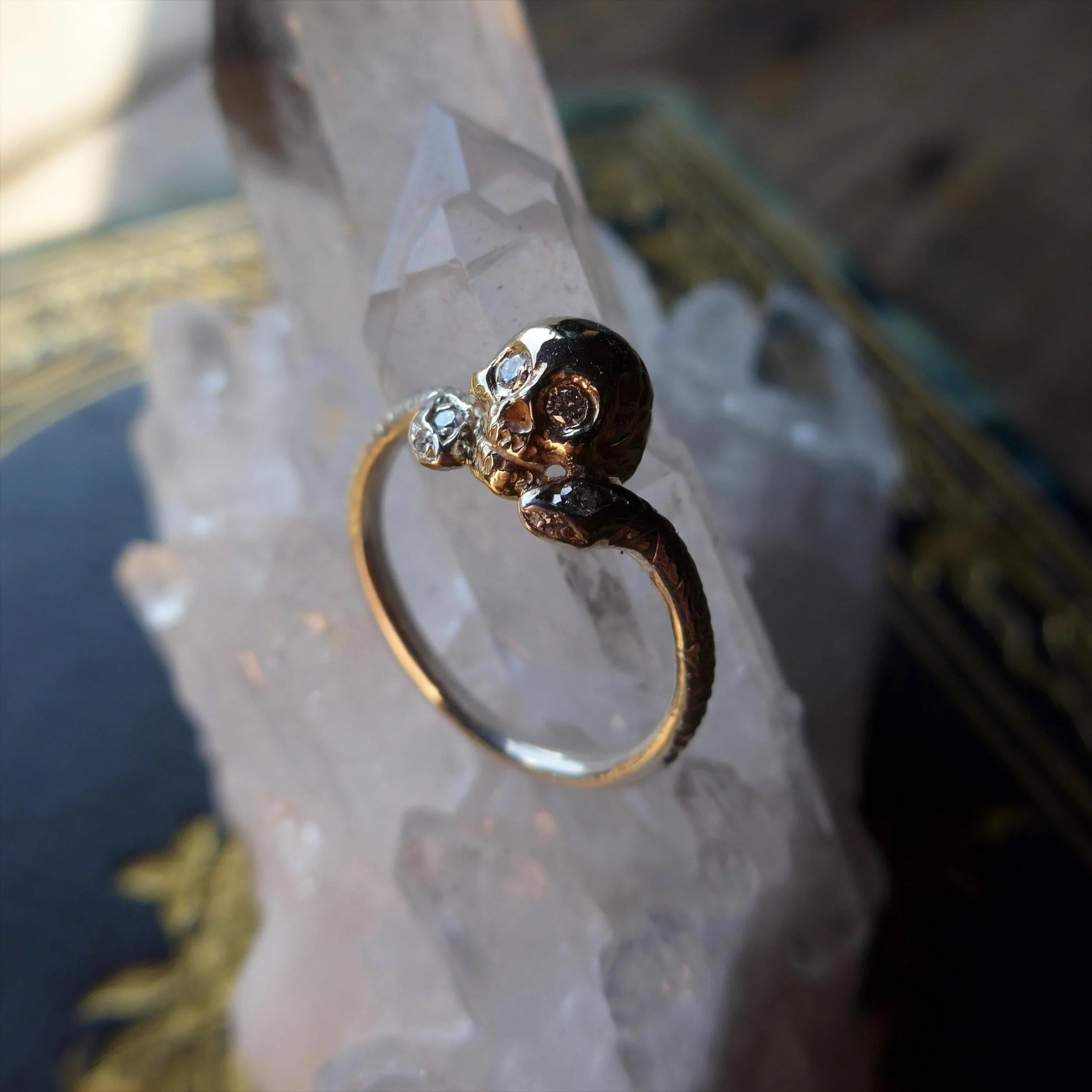 Vesper Bat Signet Ring — The Sacred Order