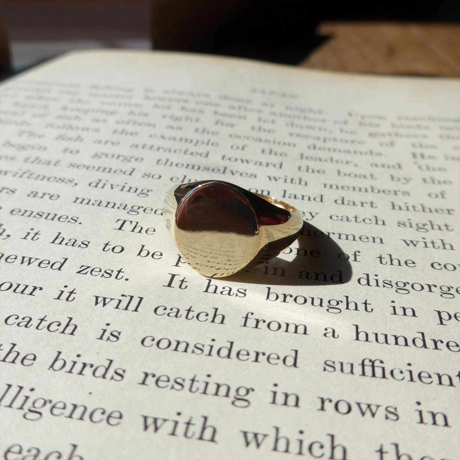 Vesper Bat Signet Ring — The Sacred Order