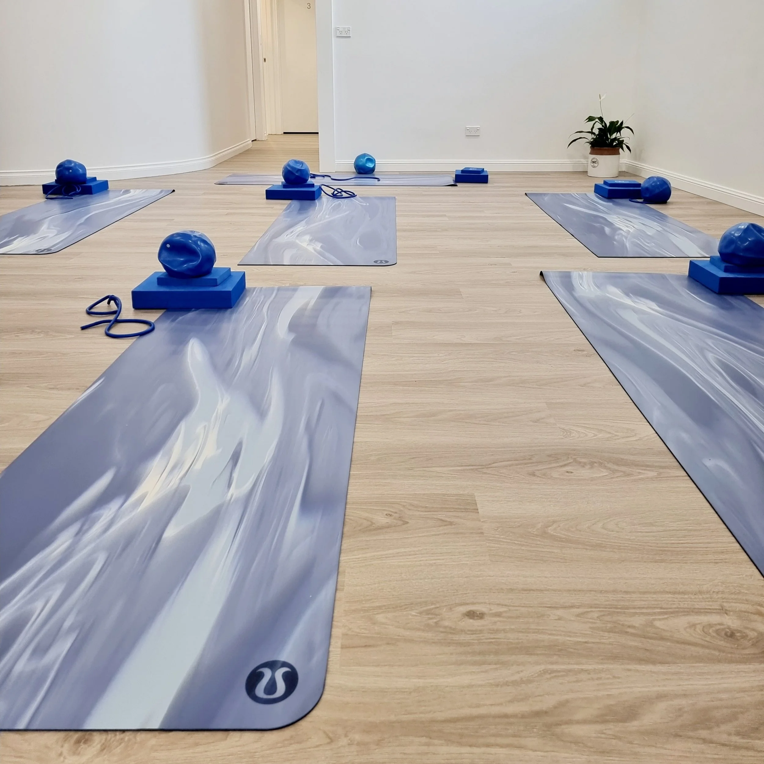 Our Services — Restore Physio and Pilates