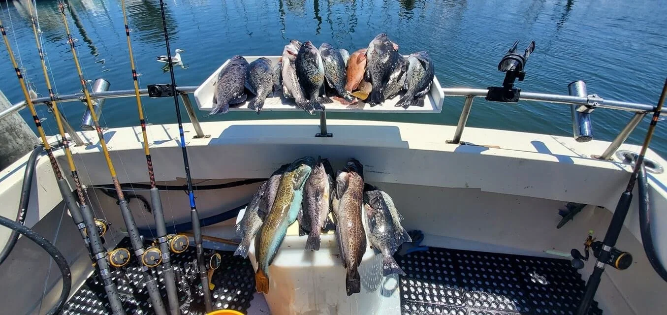 Santa Cruz Coastal Charters