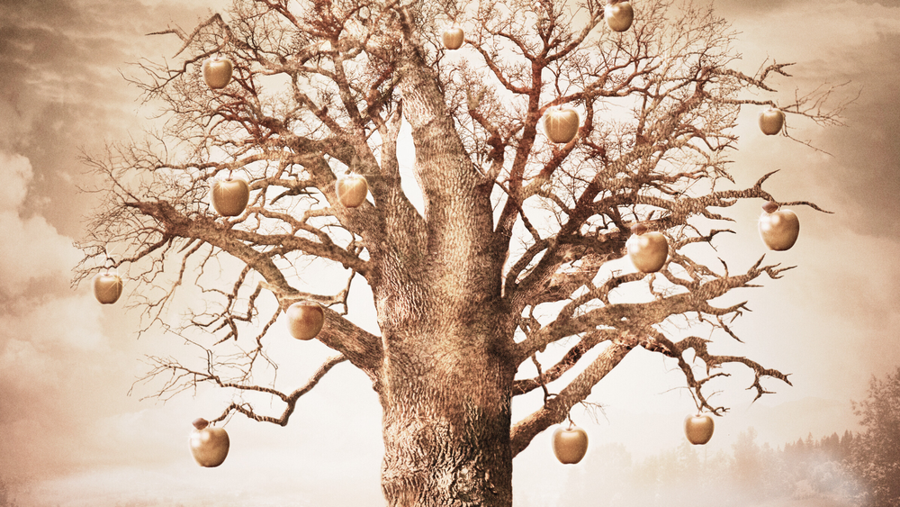 Back to Eden: Symbols of the Garden and the Serpent Kundalini — LIVE ...