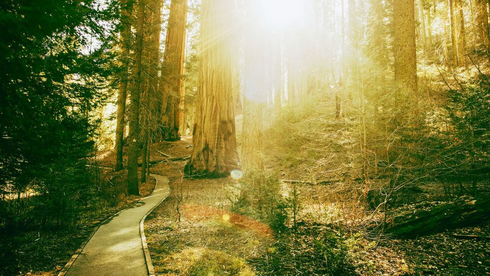 The Natural Hygiene Movement: How Can It Help You Live a Healthy Life ...