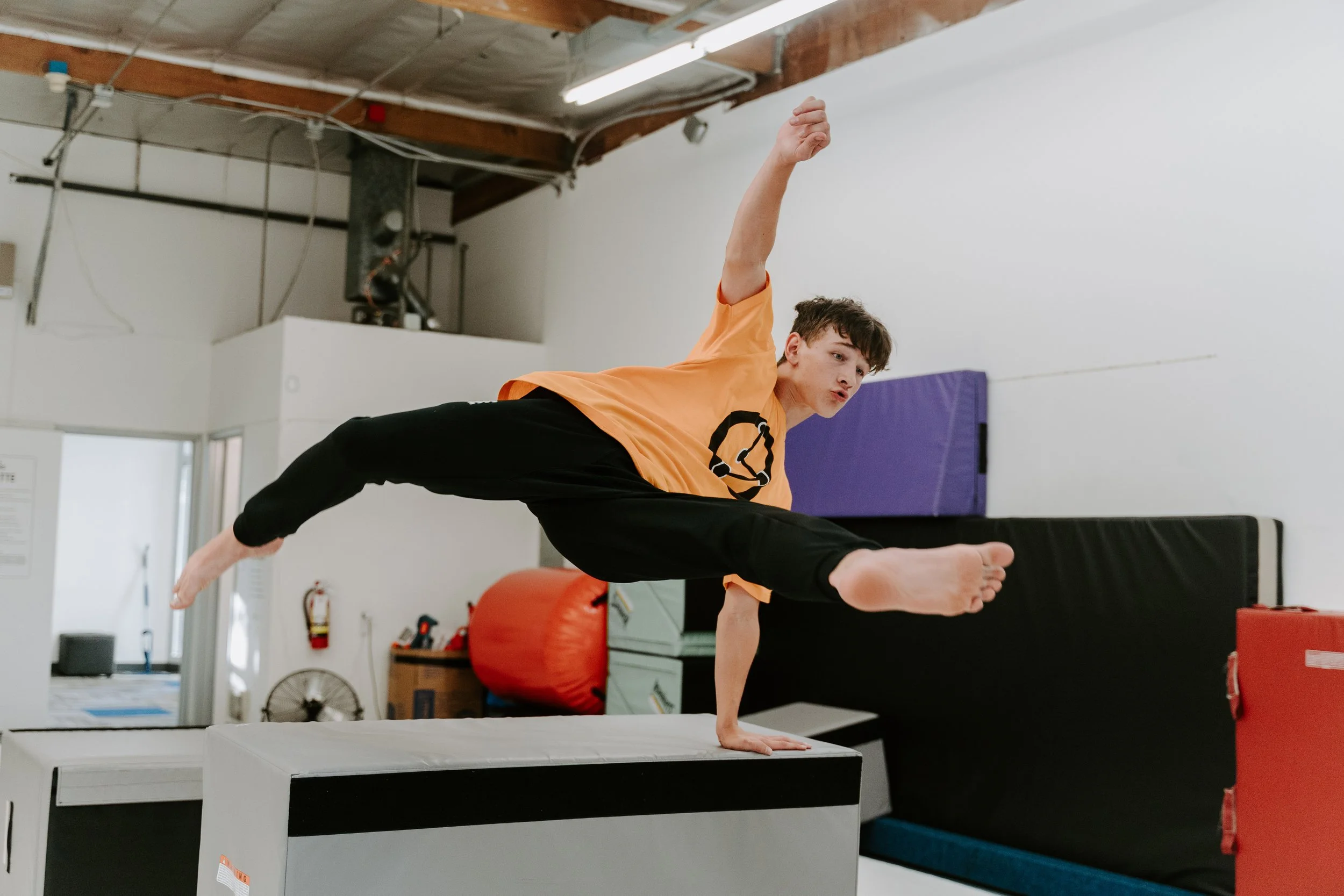 Adult Classes — Urban Warriors