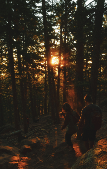 Top-Rated Trauma Therapy Boulder | Find Support to Heal - Softening ...