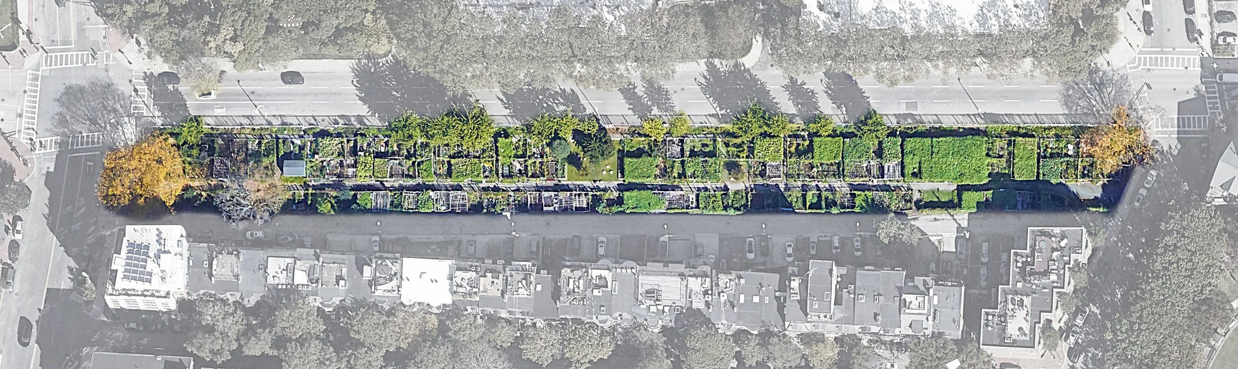 Berkeley Community Garden — In[form]al