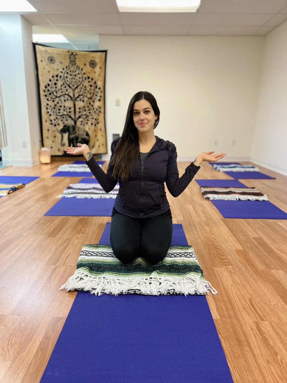Seattle All Levels Yoga Class Viniyoga, Meditation, Breath Work — Find ...