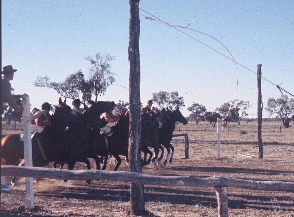 Louth Races History — LOUTH RACES