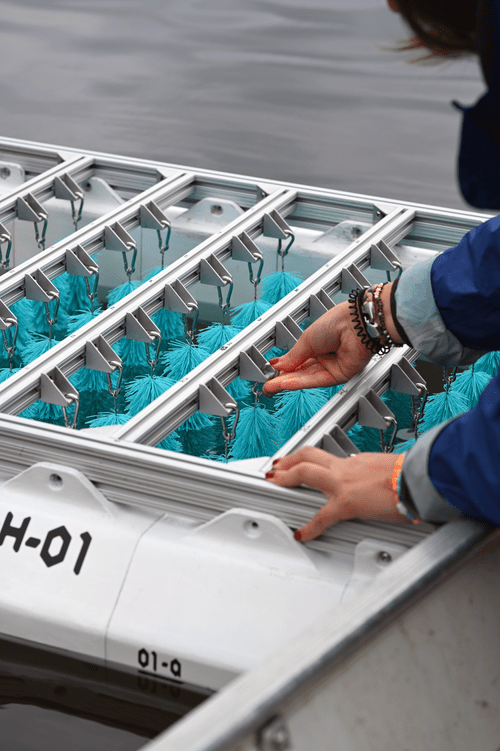 Our Tech, The Plastic Hunter — PolyGone, Systematic Solutions for ...