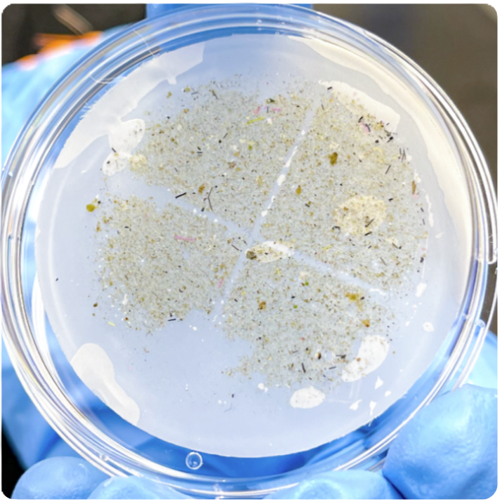 PolyGone - Systematic Solutions for Microplastic Pollution