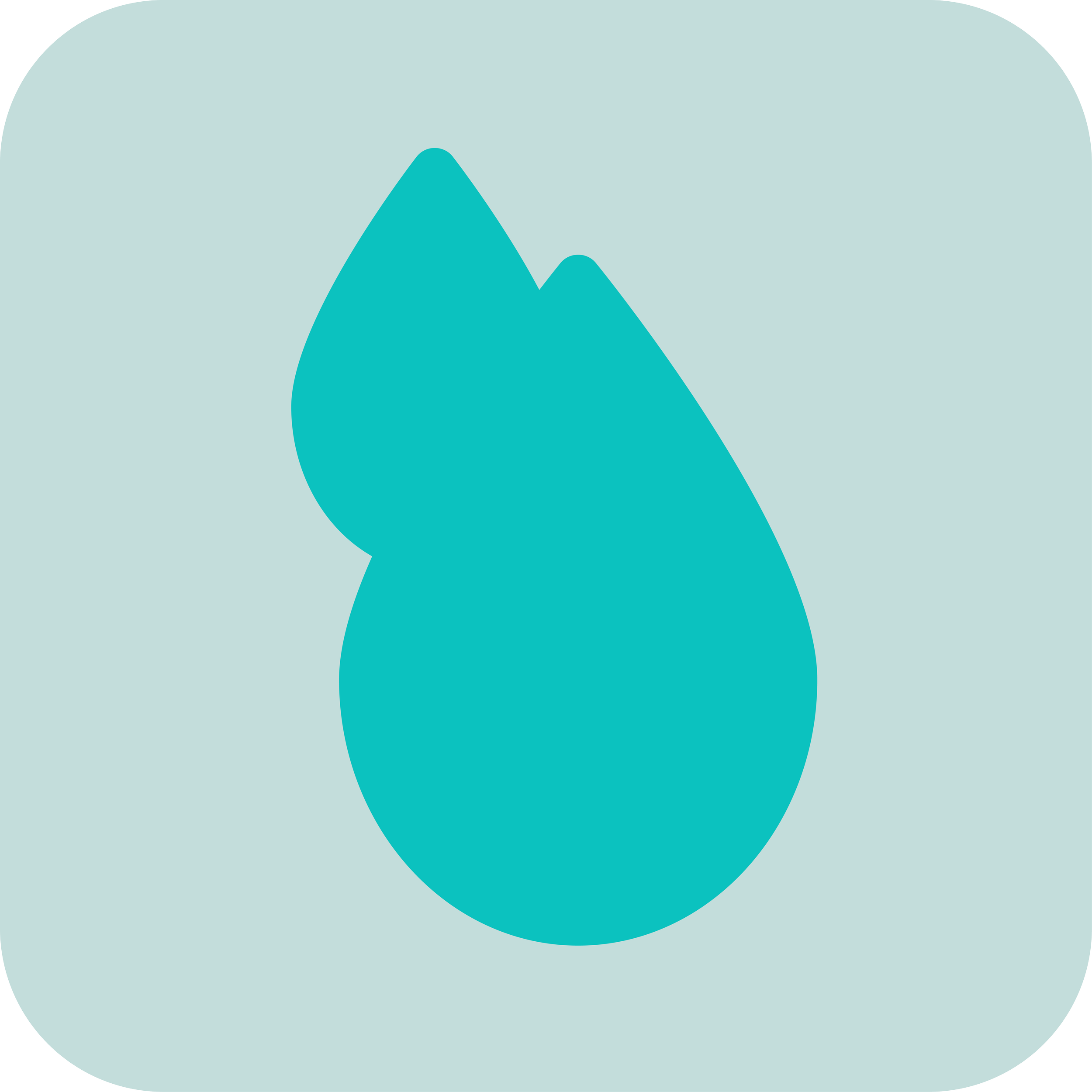 PolyGone - Systematic Solutions for Microplastic Pollution