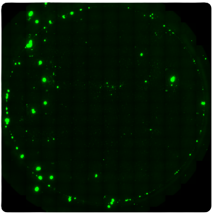 PolyGone - Systematic Solutions for Microplastic Pollution