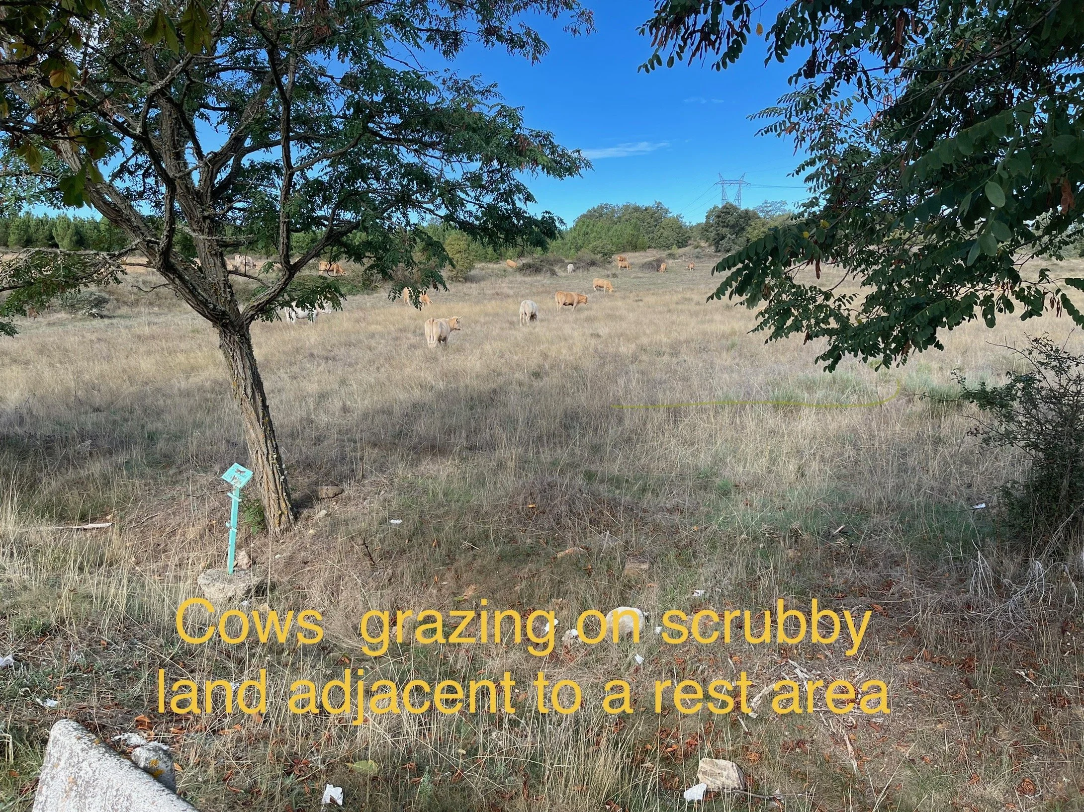 Autumn’s coming — David Ensor