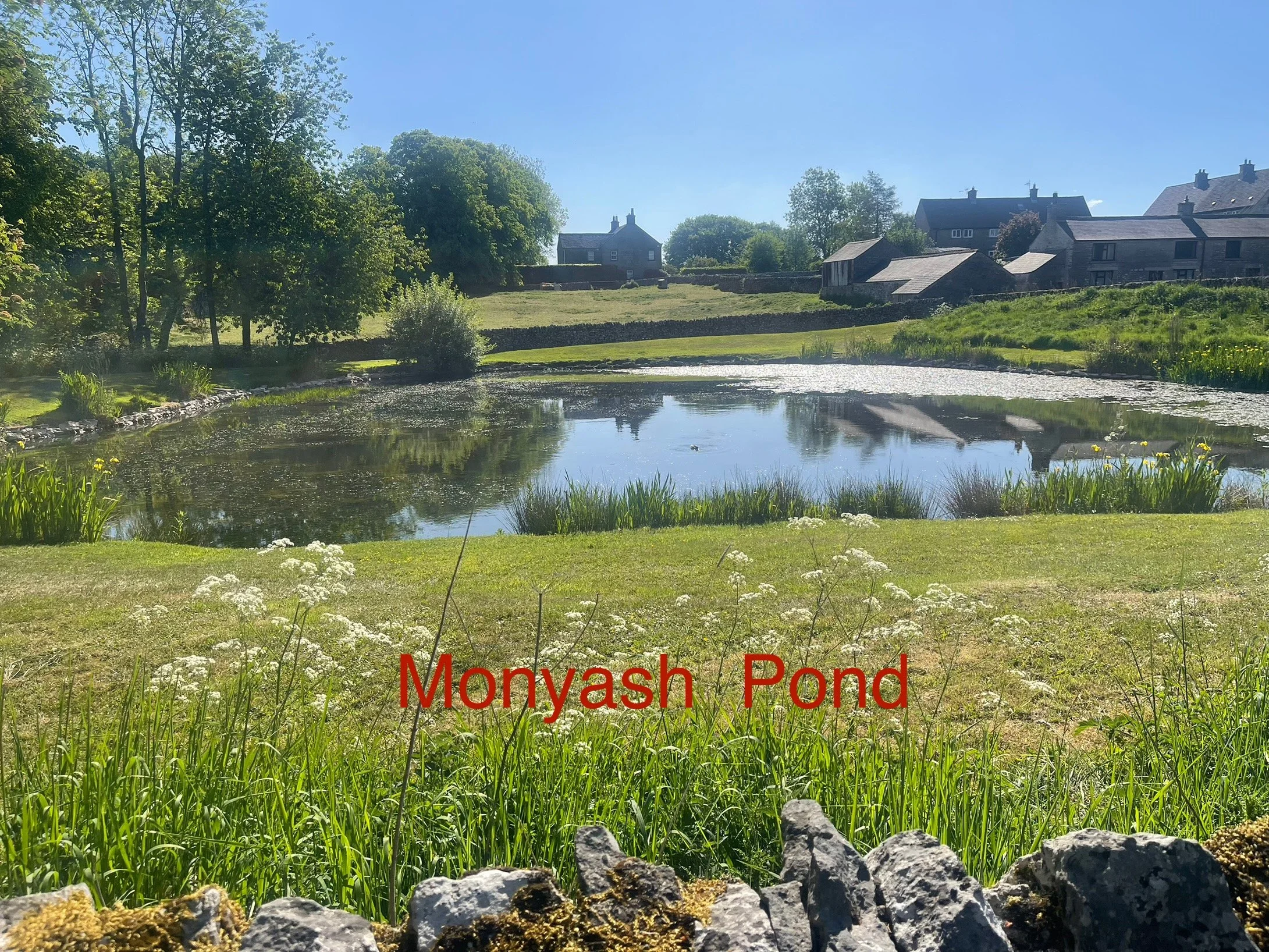 Day 53: Monyash to Tissington — David Ensor