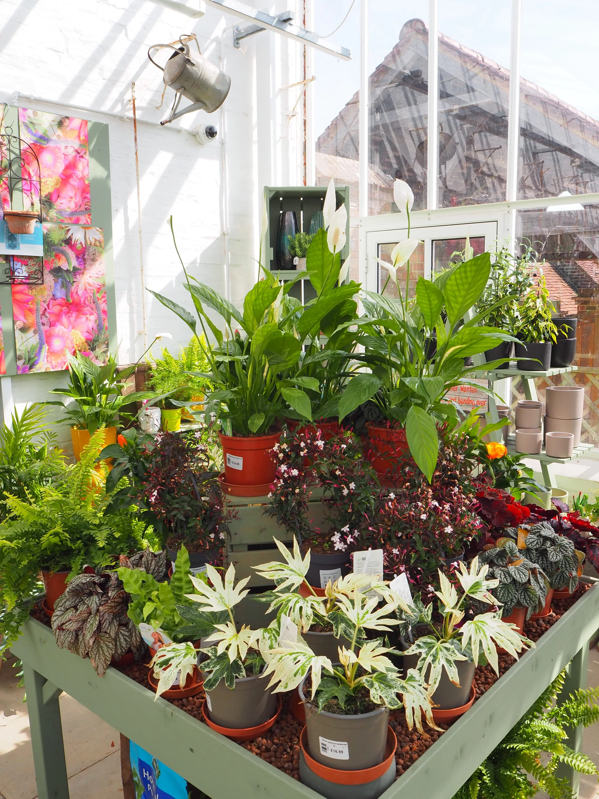 PLANTS — Orchard Nursery, East Grinstead, Sussex