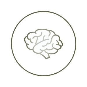 Weber LED Helmet — Simply | Midland, TX