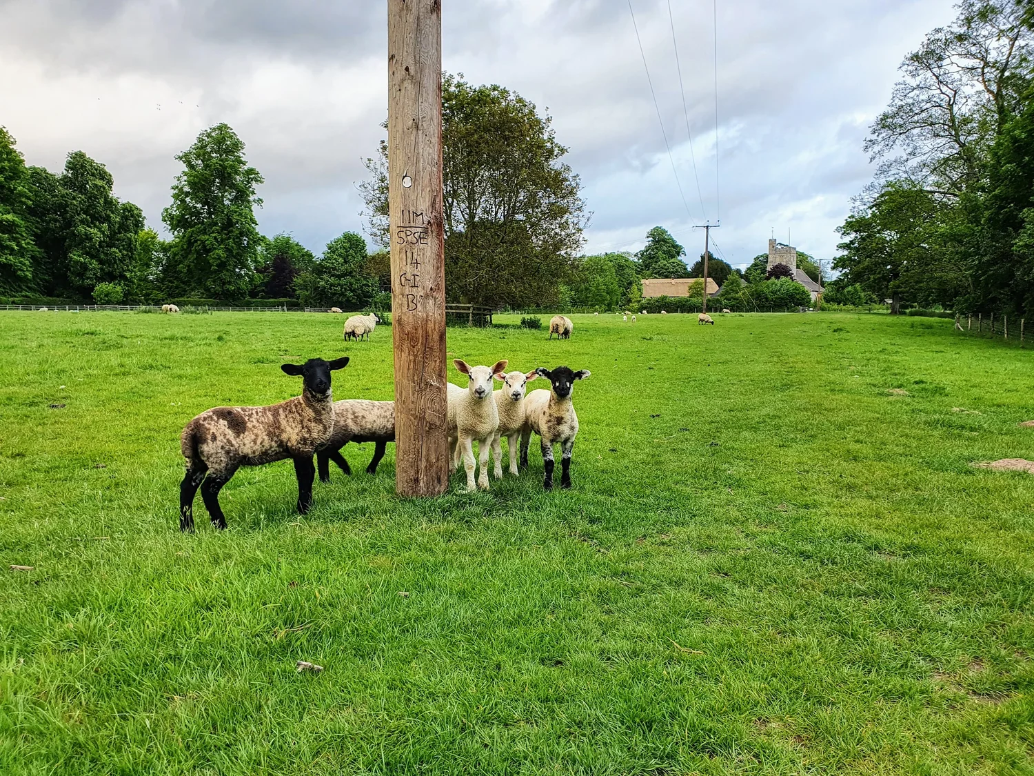 Local Walks — Longparish
