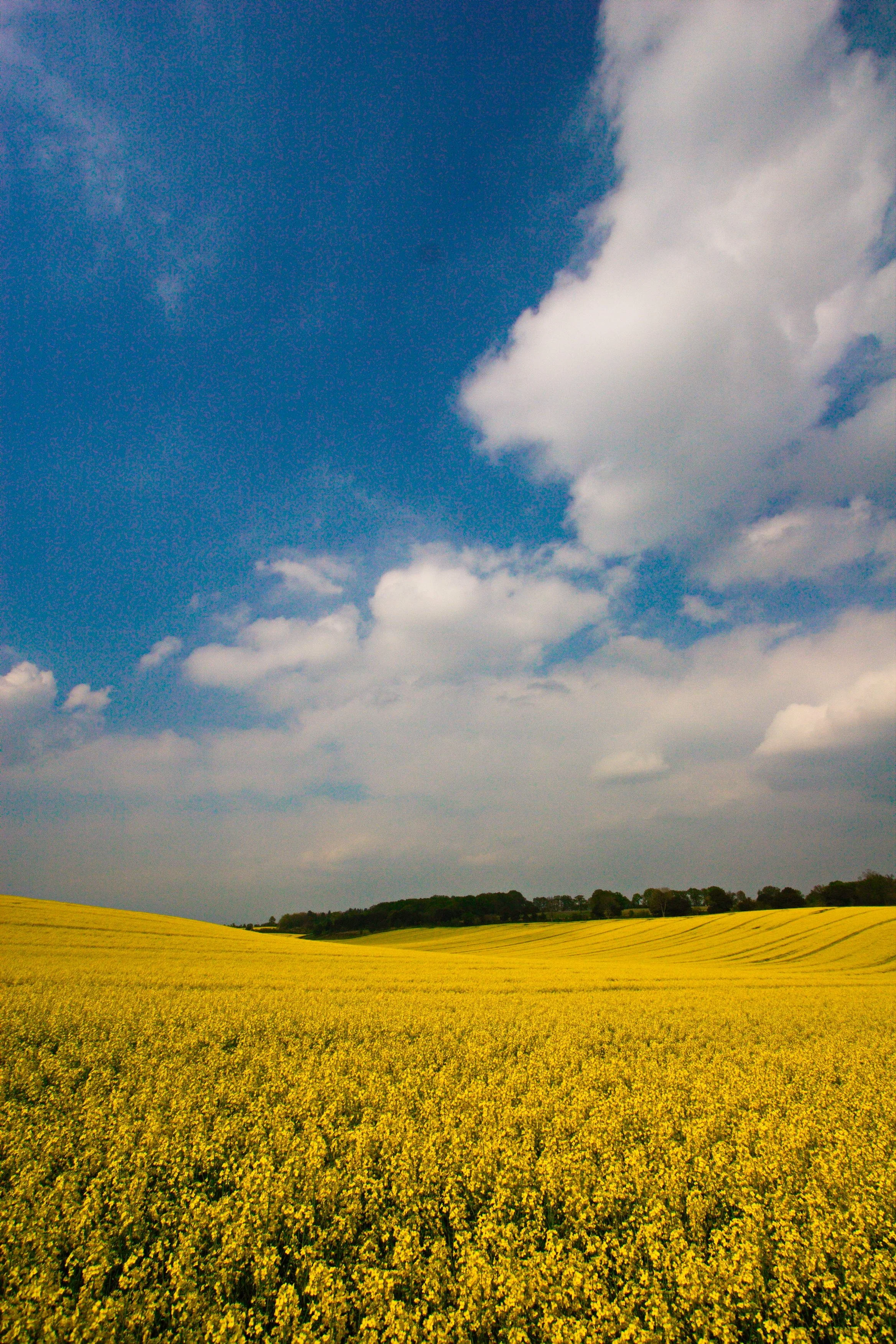 Longparish
