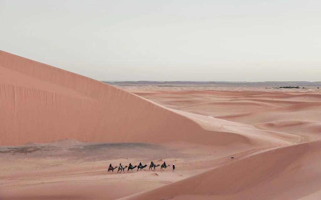 Gallery 3 — Carley Rudd