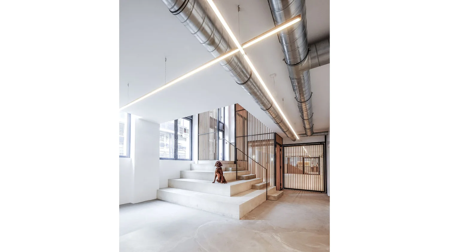 LE STUDIO — DAS STUDIO