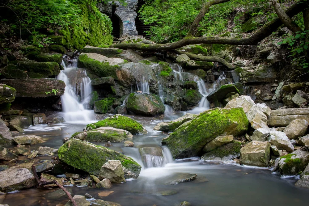 Revitalize St. Louis County Parks