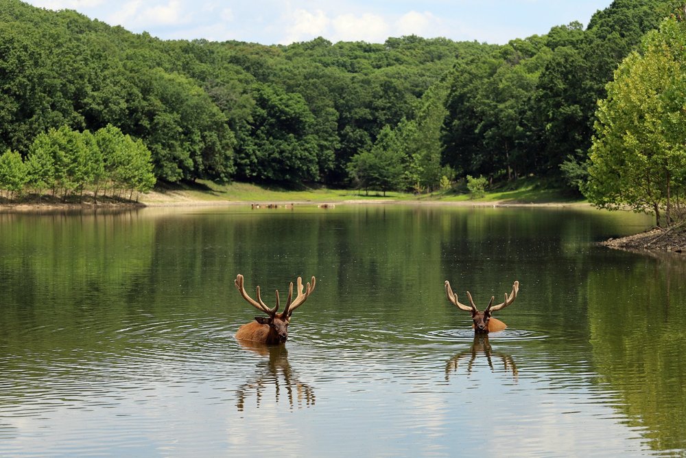 Mission — St. Louis County Parks Foundation