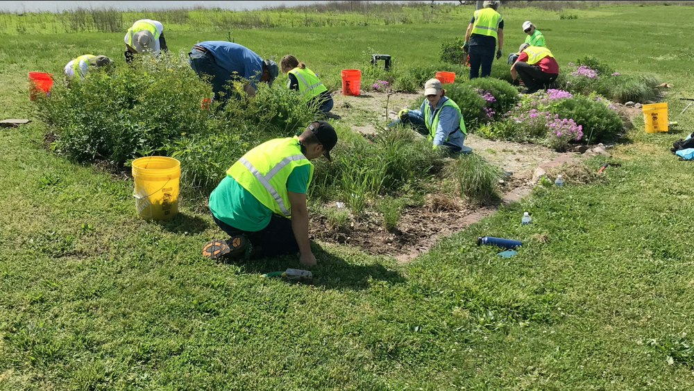 Volunteer With Us! — St. Louis County Parks Foundation