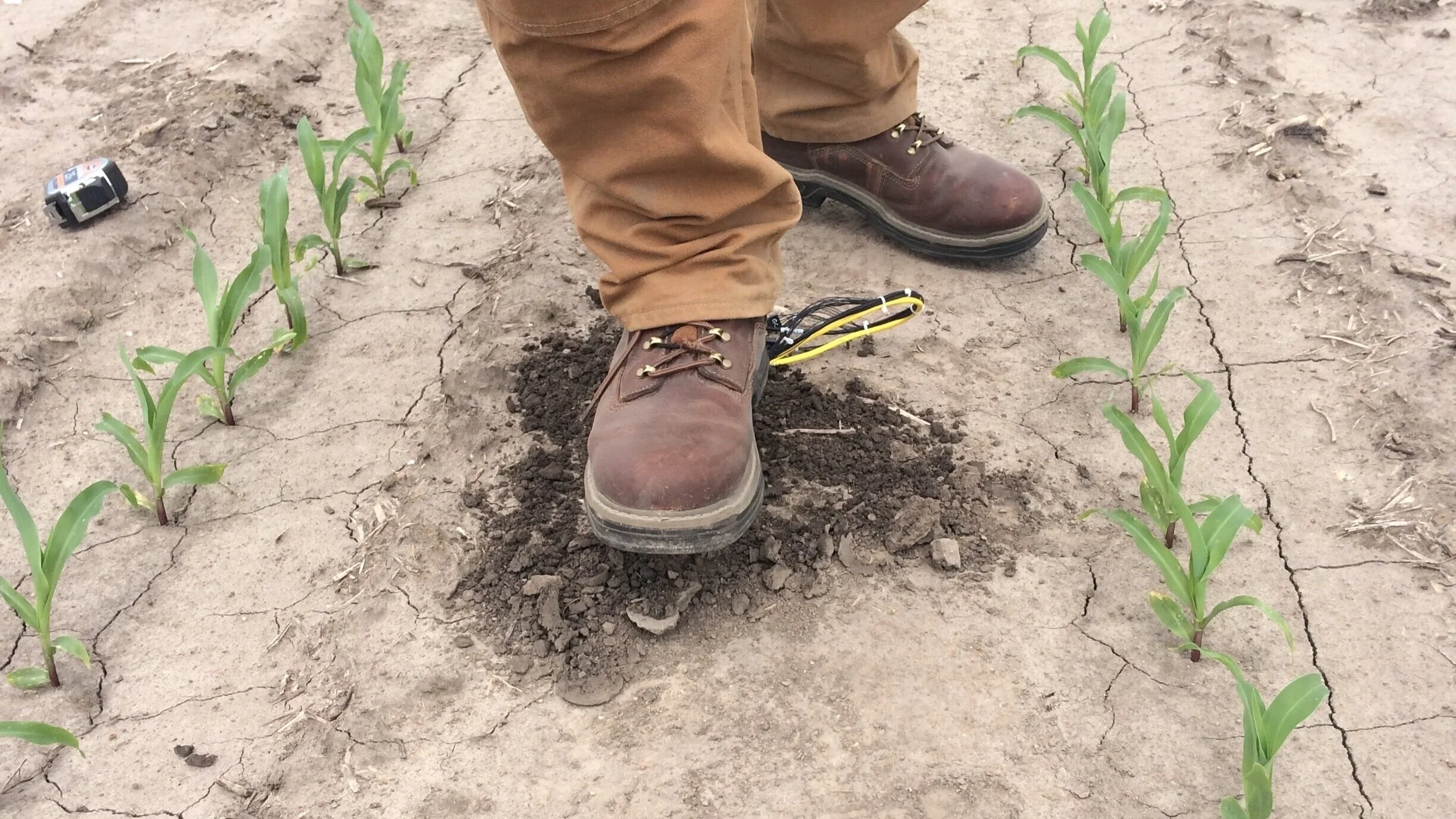 Introducing the Team Inventing Next-Level ClimateTech Solutions for ...