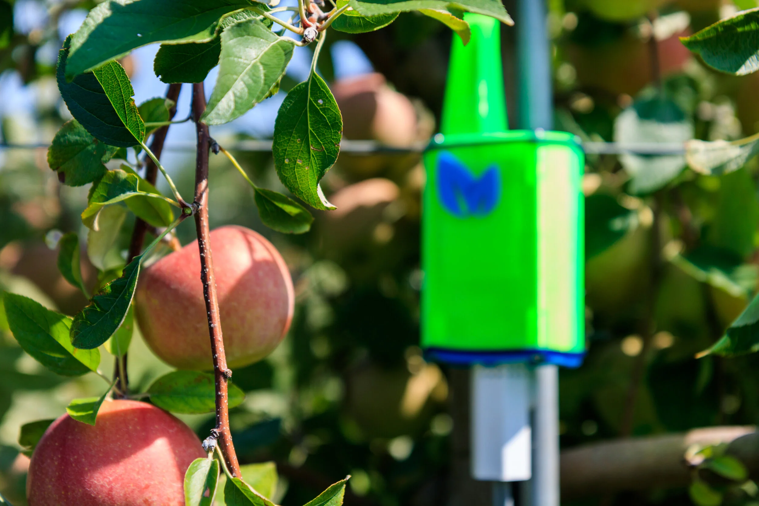 Introducing the Team Inventing Next-Level ClimateTech Solutions for ...