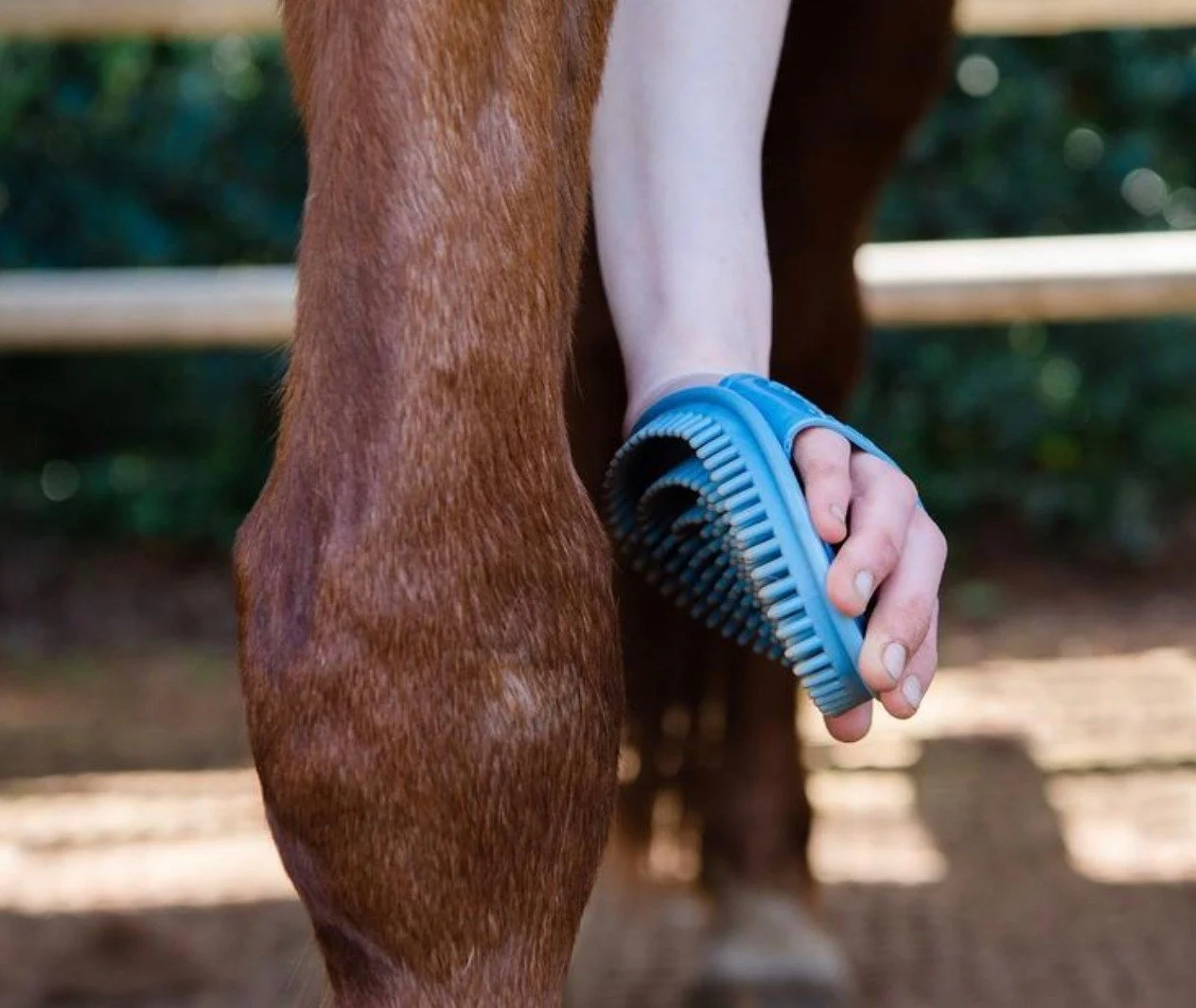 Horse Care — Quality Horseman Equipment