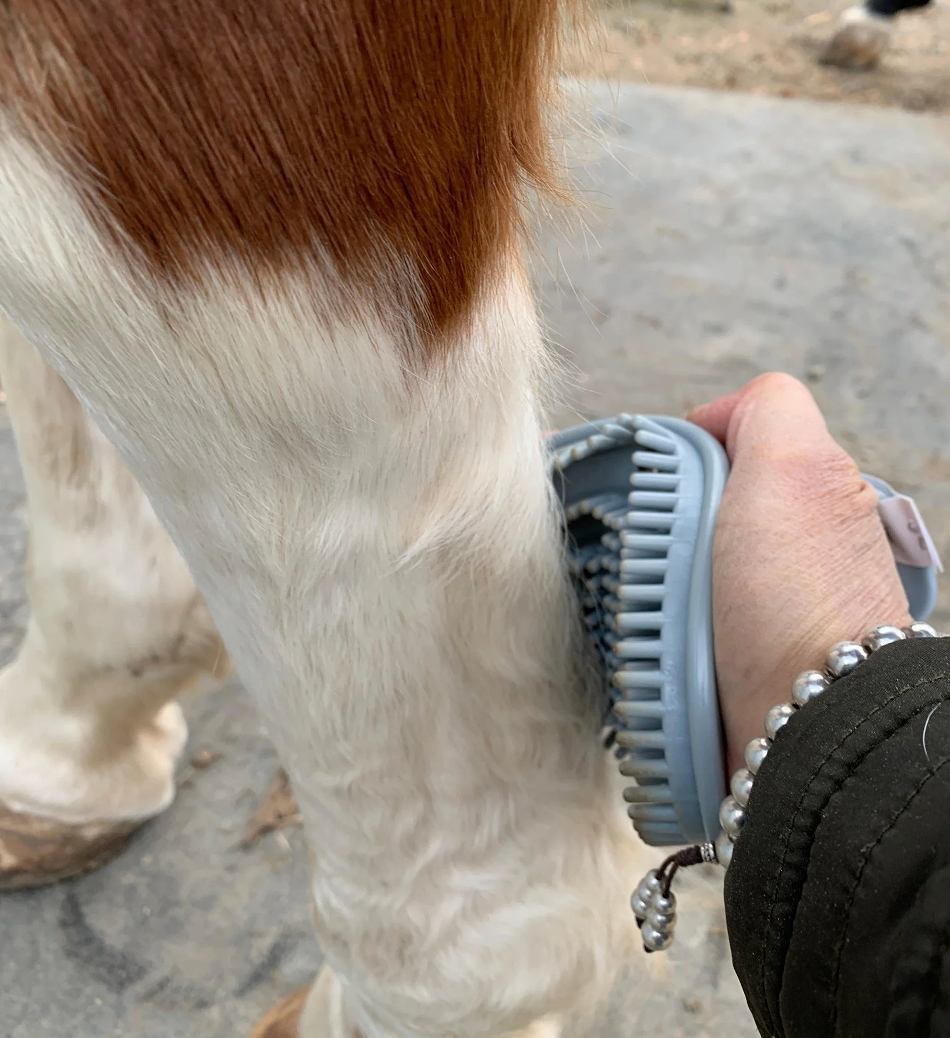 Horse Care — Quality Horseman Equipment