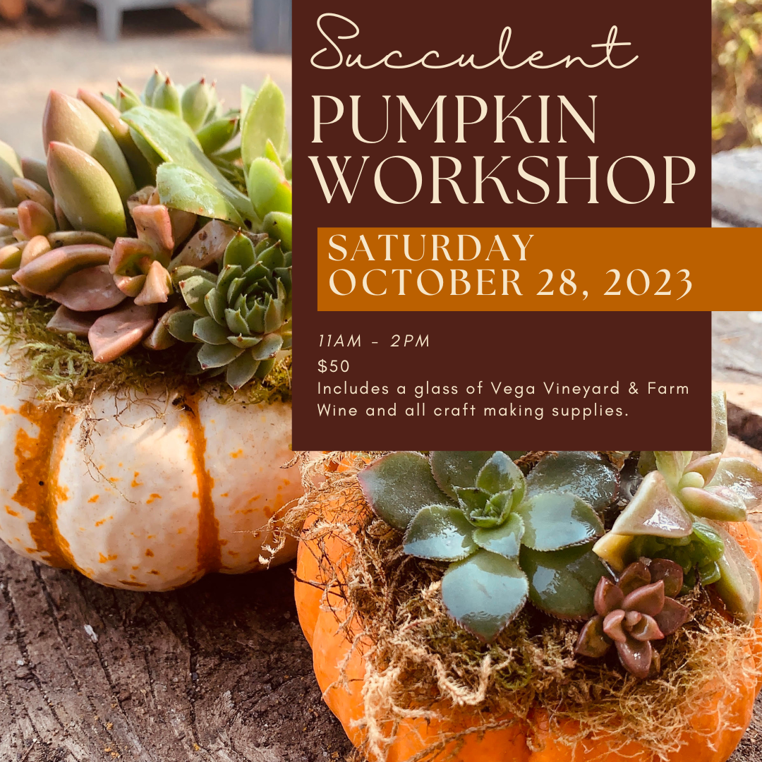 Vega Vineyard & Farm