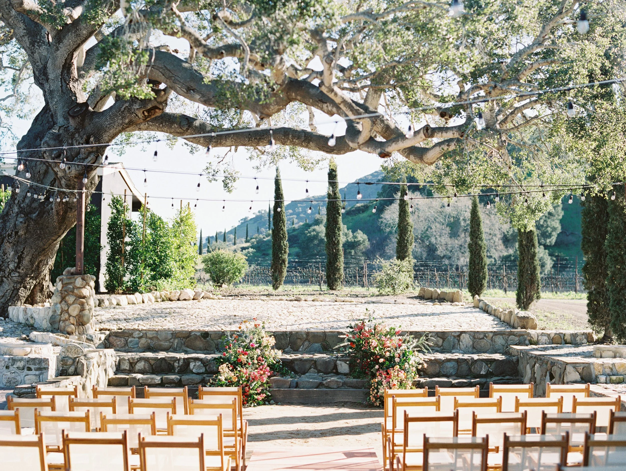 Private Events — Vega Vineyard & Farm