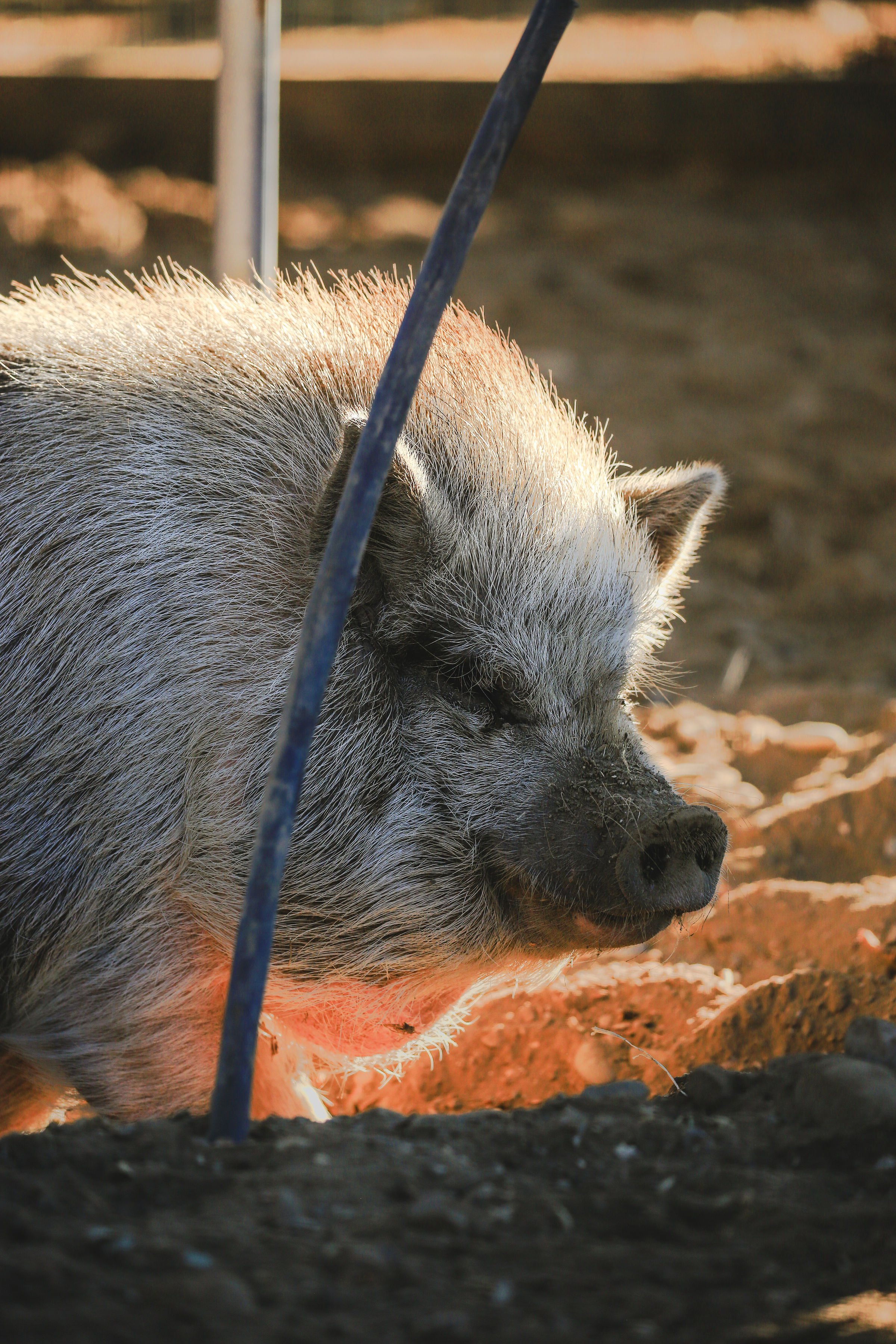 Visit — Vega Vineyard & Farm