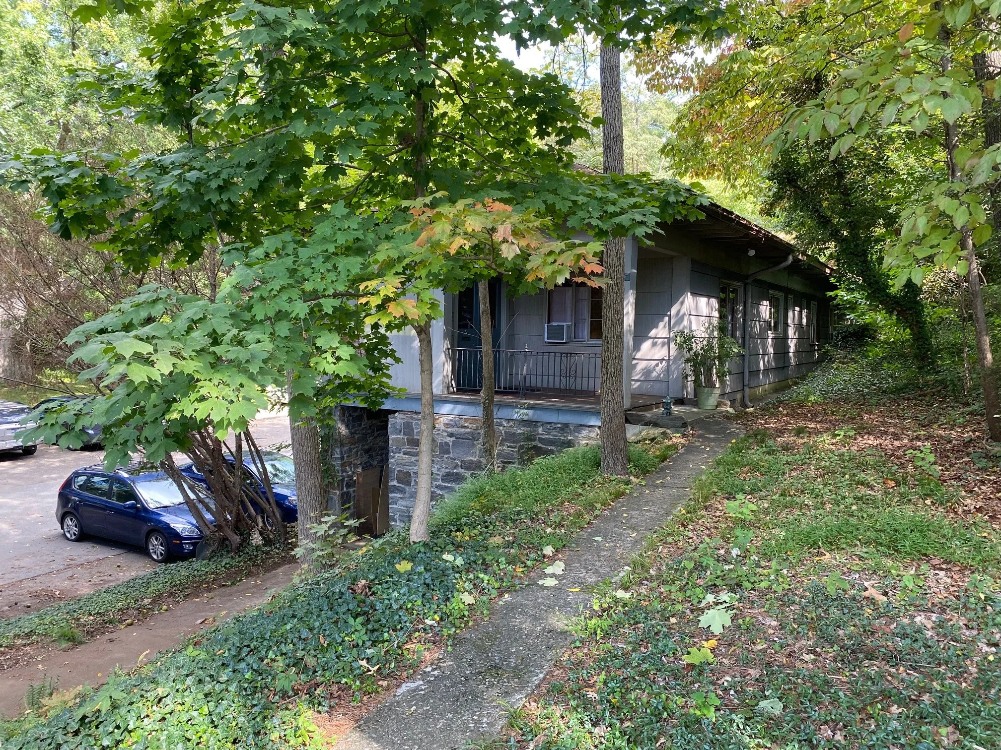 Emily Strang, PhD — Bold Moves Behavioral Health