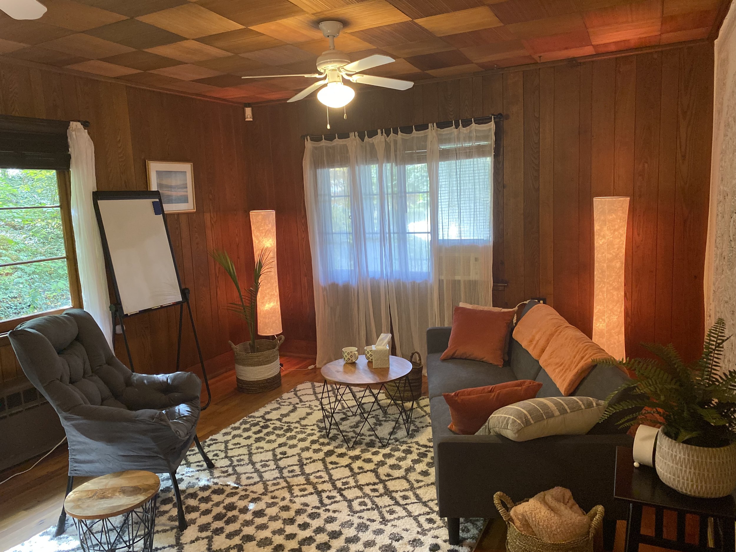 Emily Strang, PhD — Bold Moves Behavioral Health