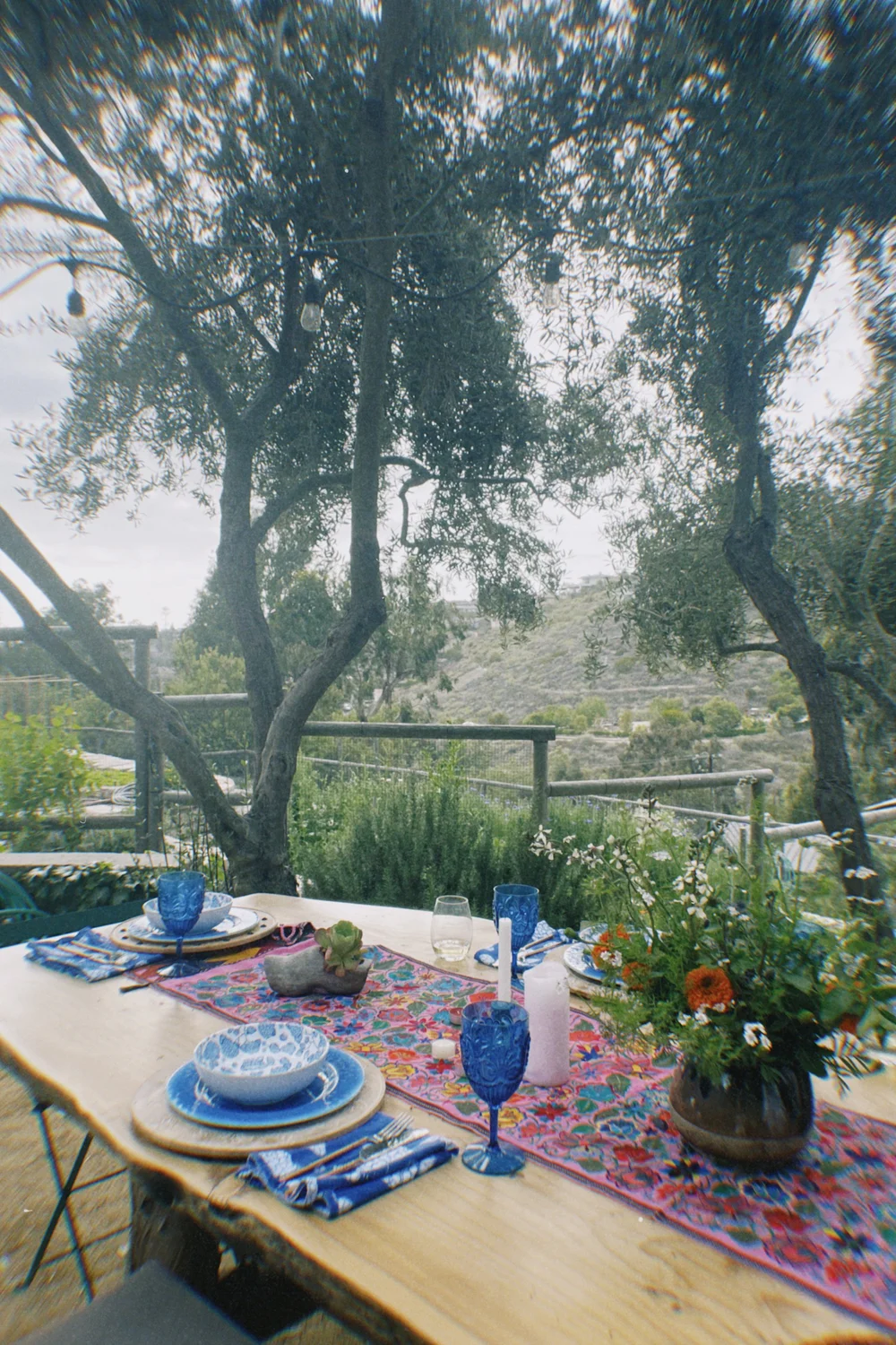 Photos — Bluebird Canyon Farms