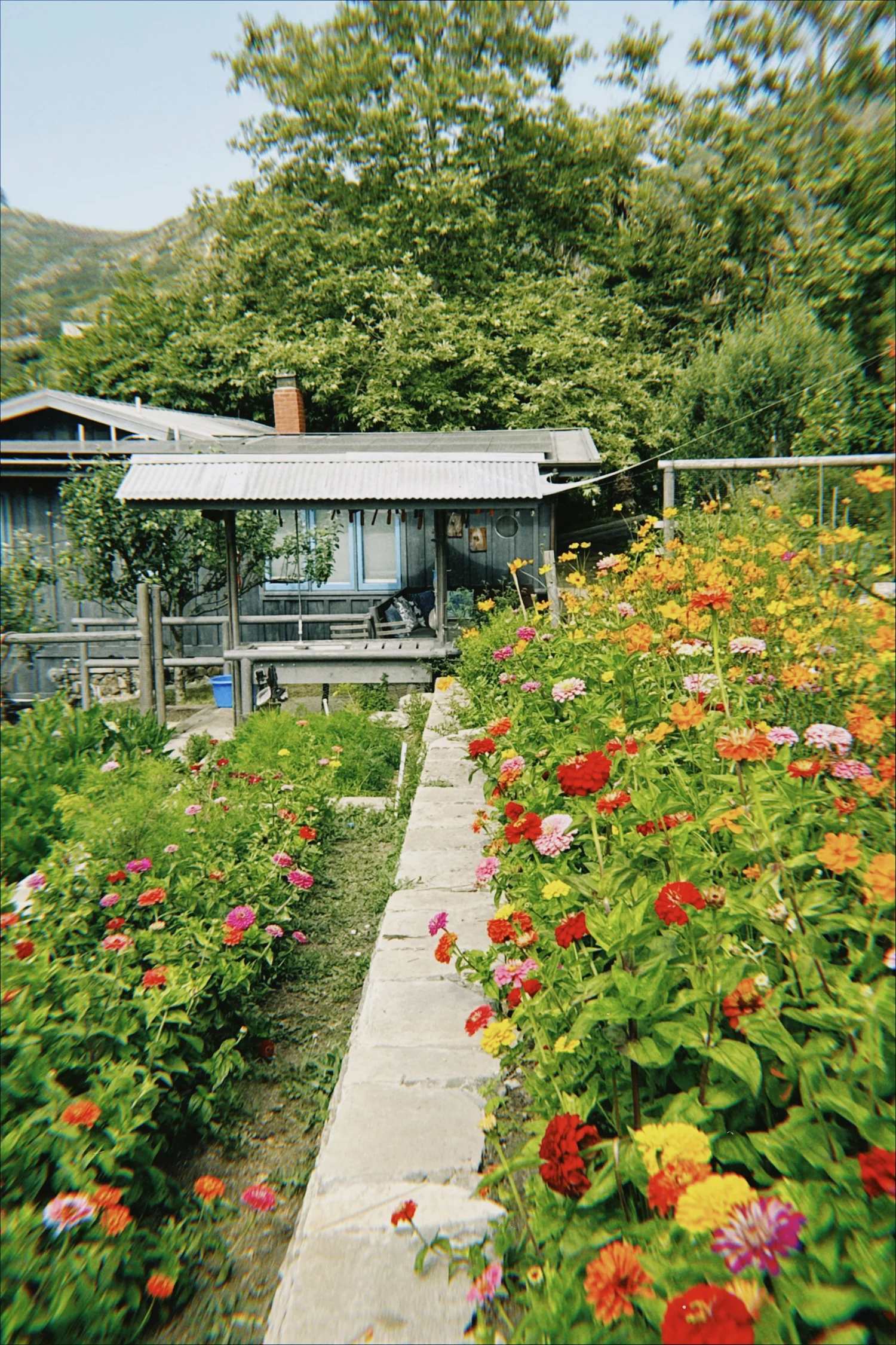 Photos — Bluebird Canyon Farms