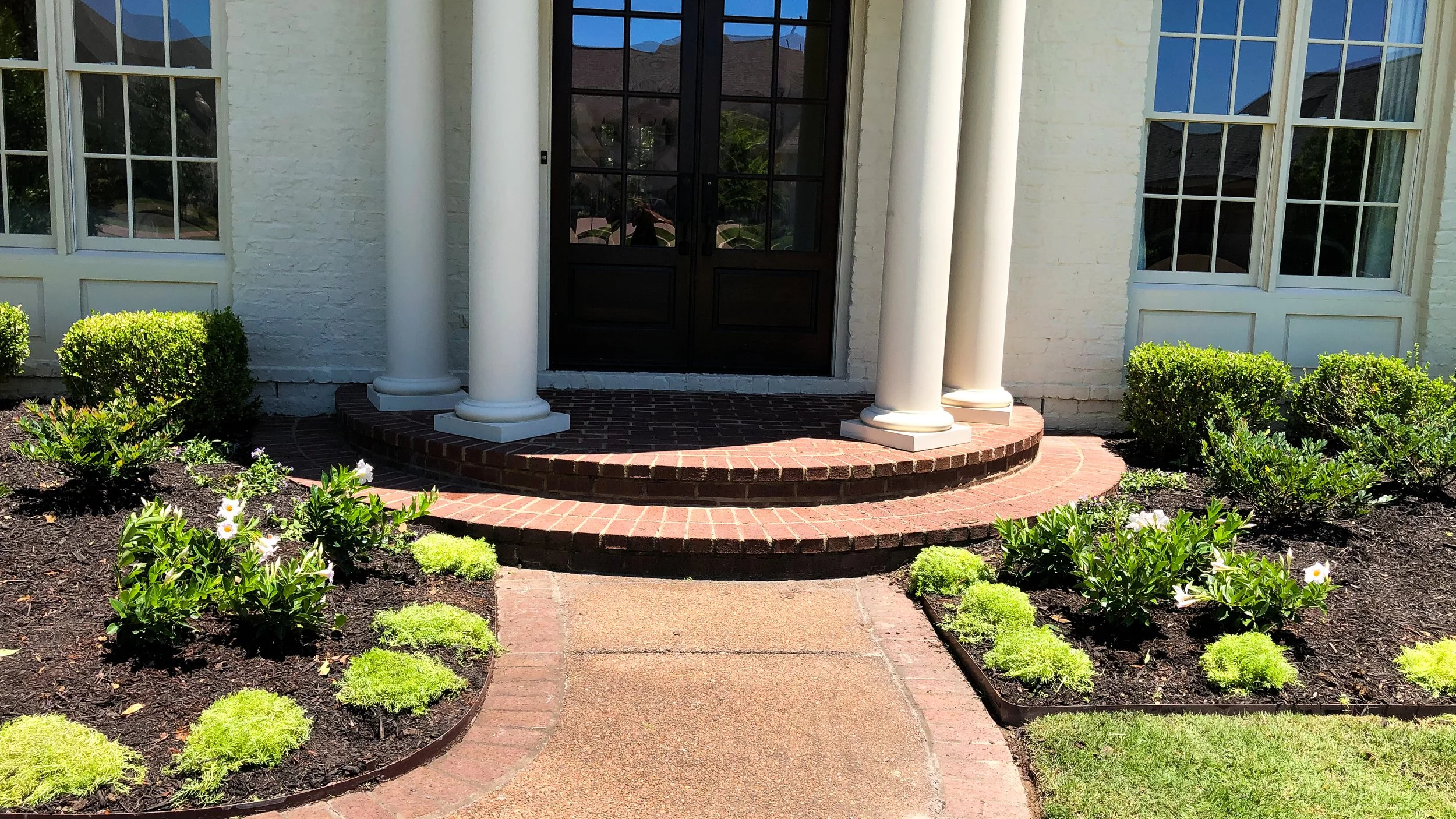 About — DOCTOR LANDSCAPING