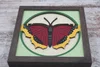 Reeling Fisherman Layered Paper Art Shadow Box