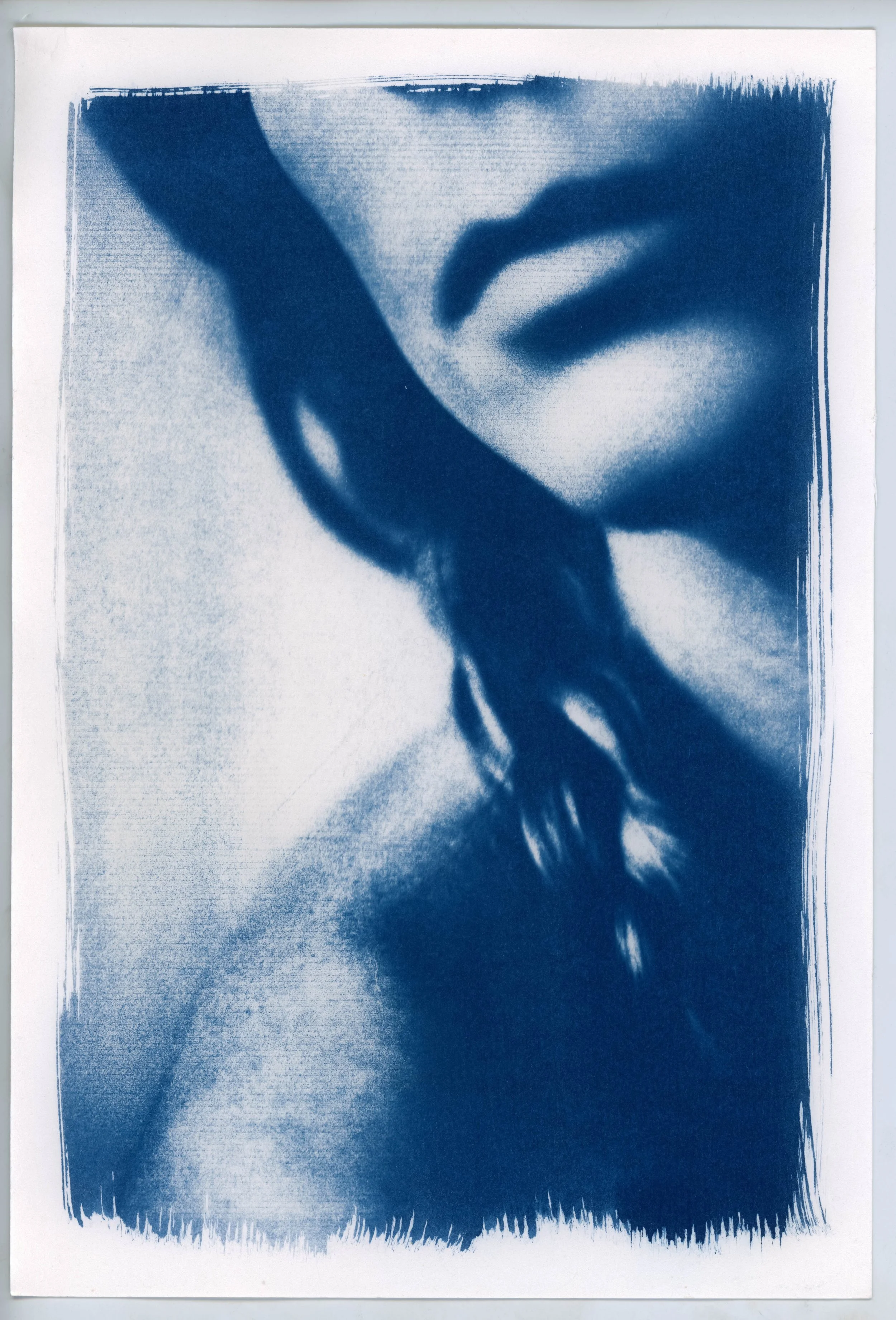 How-to: Cyanotypes — Amy Elizabeth