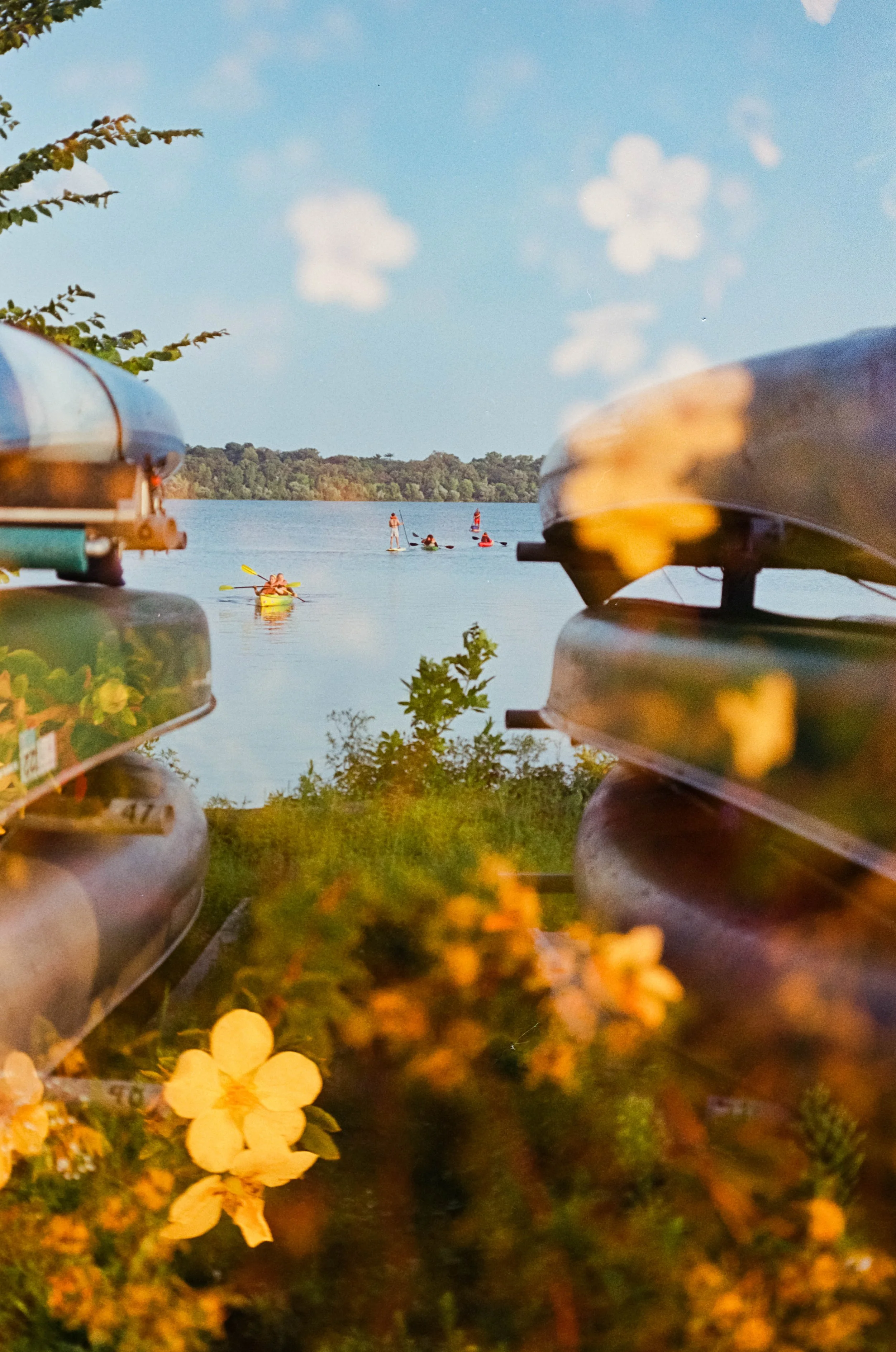 5 Ways To Find Magic In The Mundane (With Your Film Camera This Weekend ...
