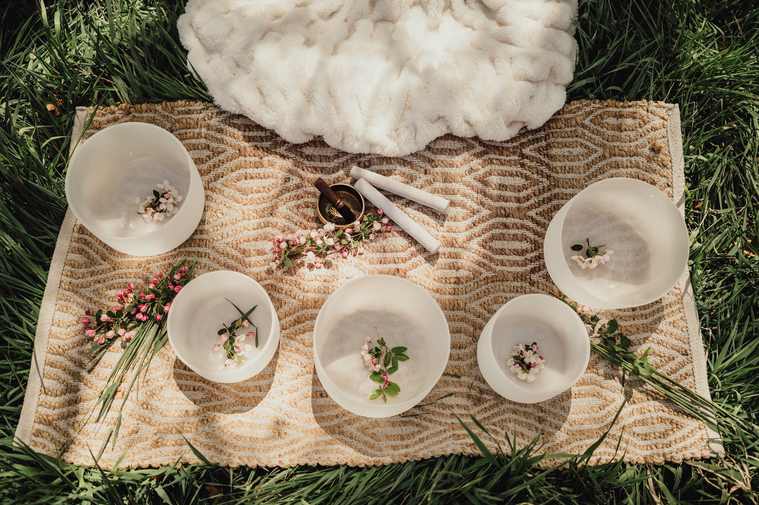 Sound Healing — Chanelle Sorgani