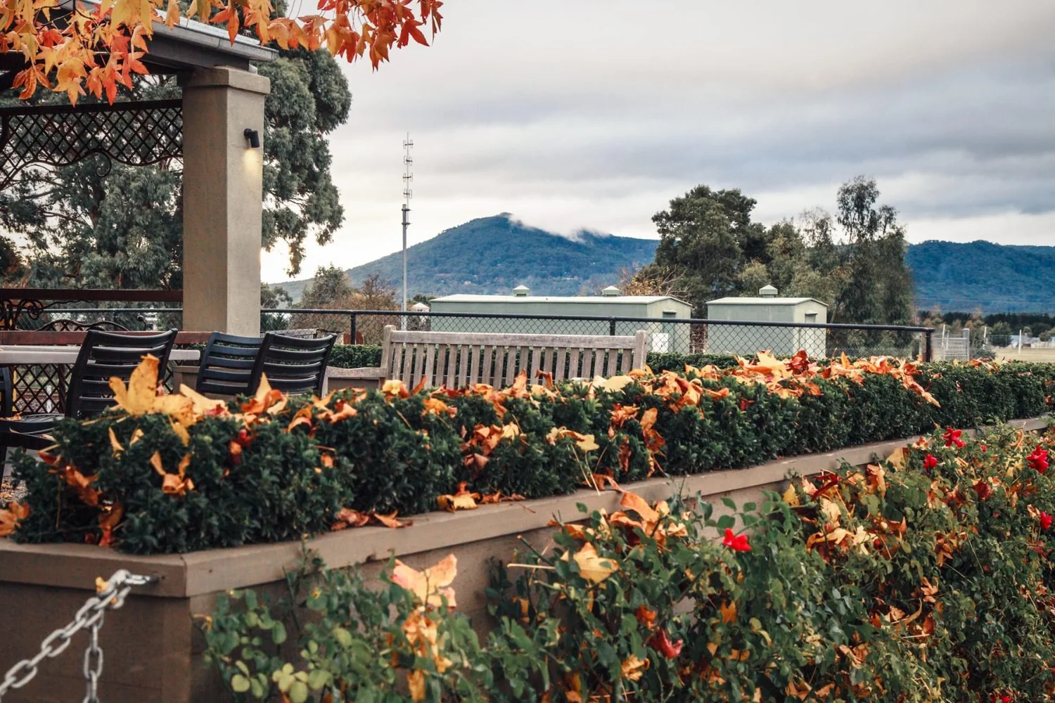 Outdoor Dining — Baringo Food & Wine Co.