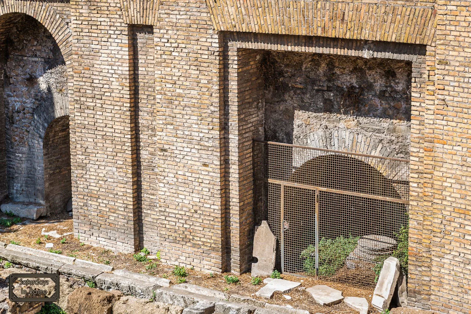 The Cat Sanctuary Among The Rome Ruins